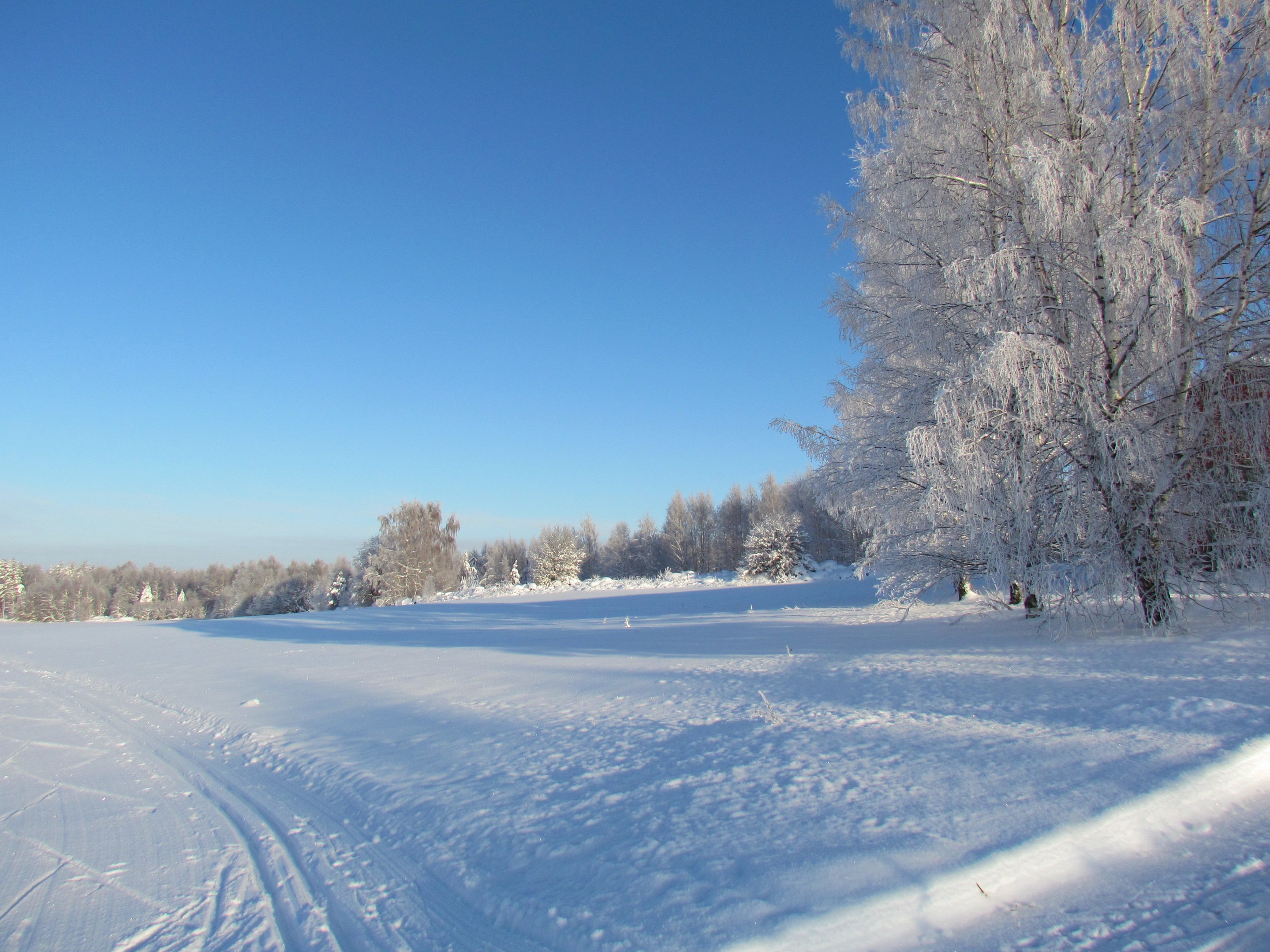 National biathlon competitions | Kangasniemi